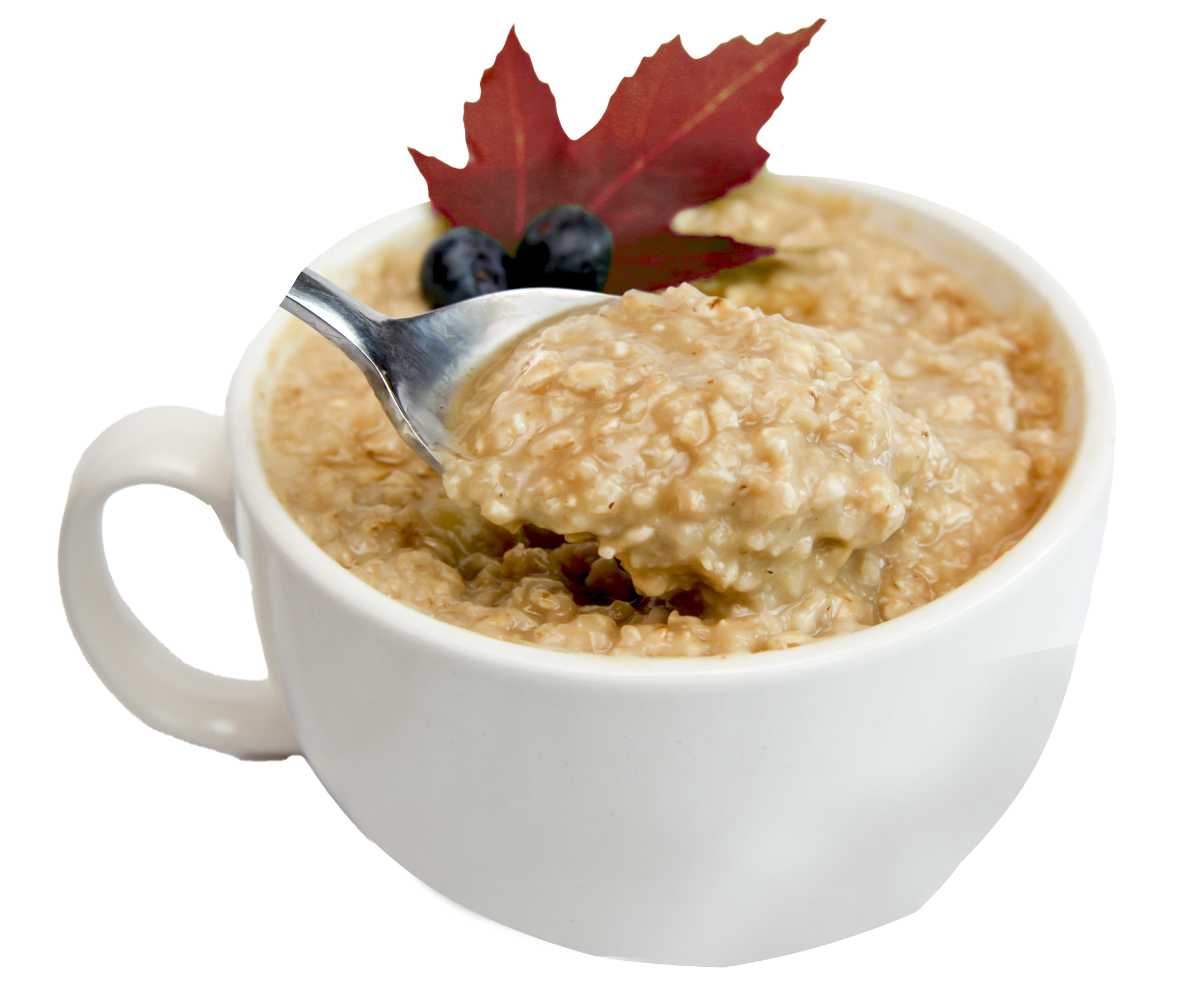 CMWL Meal Replacement - CMWL