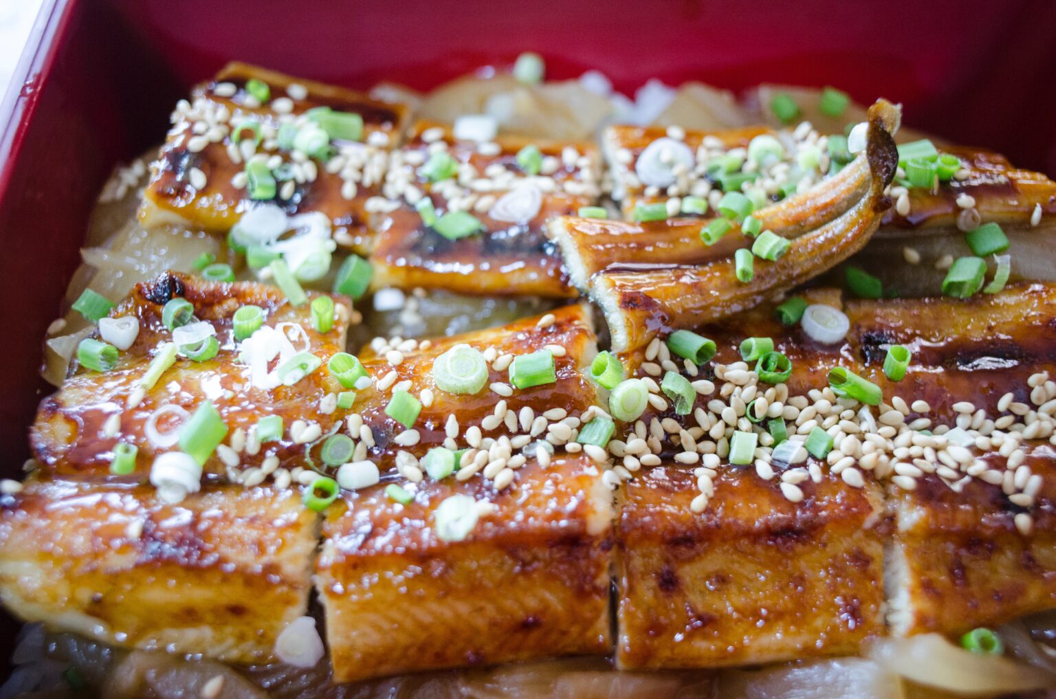 Grilled Japanese Eel and Sushi Rice - CMWL