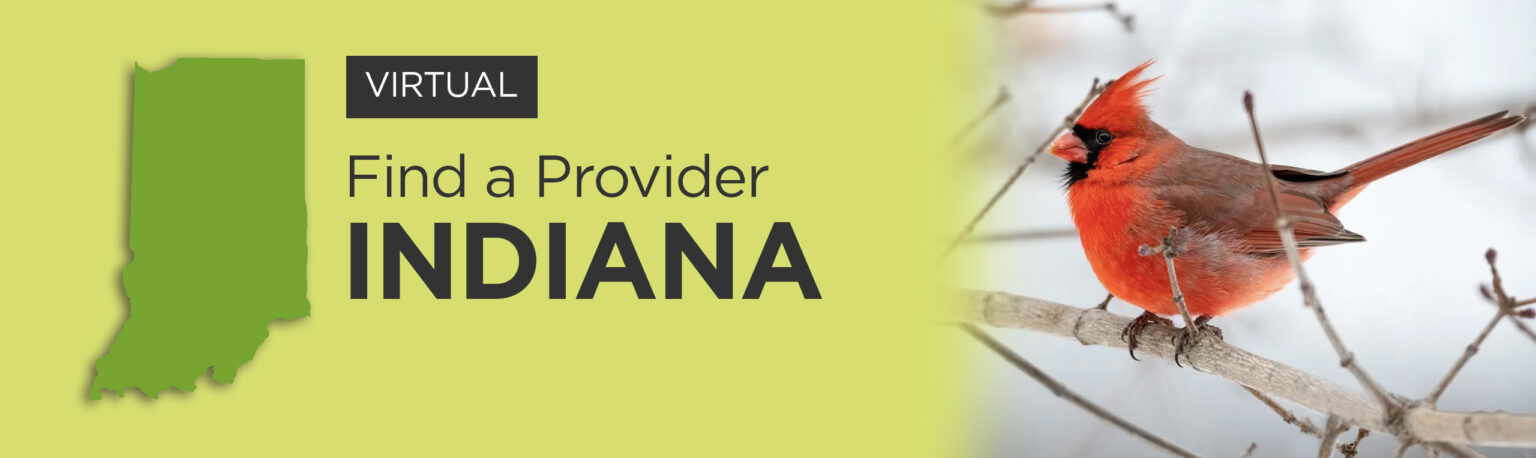Indiana Virtual Providers - CMWL