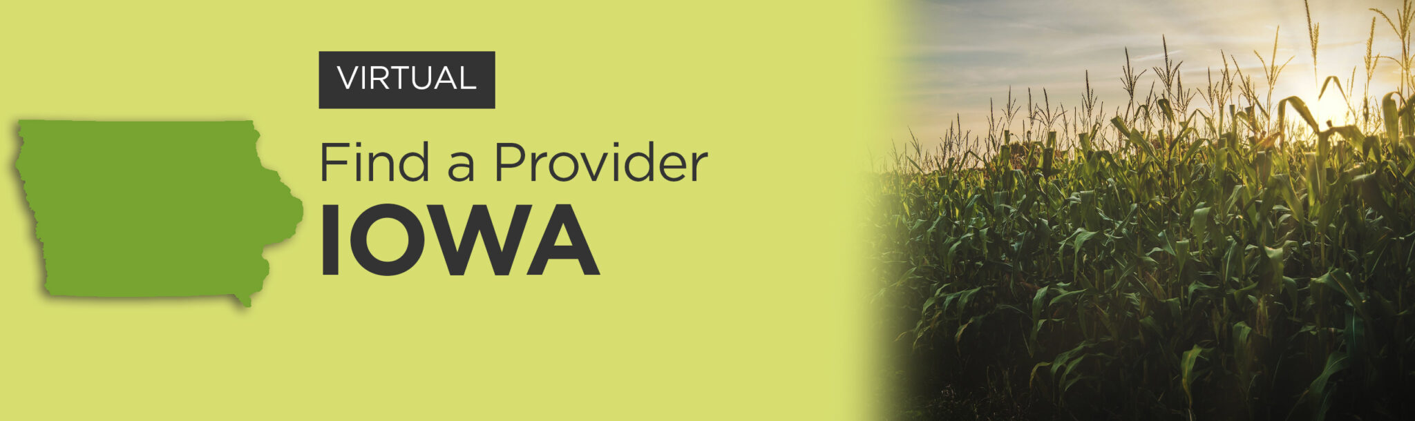 Iowa Virtual Providers - CMWL